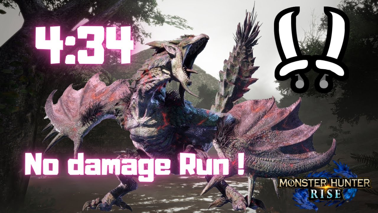 MHRise | Apex Rathian Dual Blades Solo in 4:34 ( no damage run )｜モンハン ...
